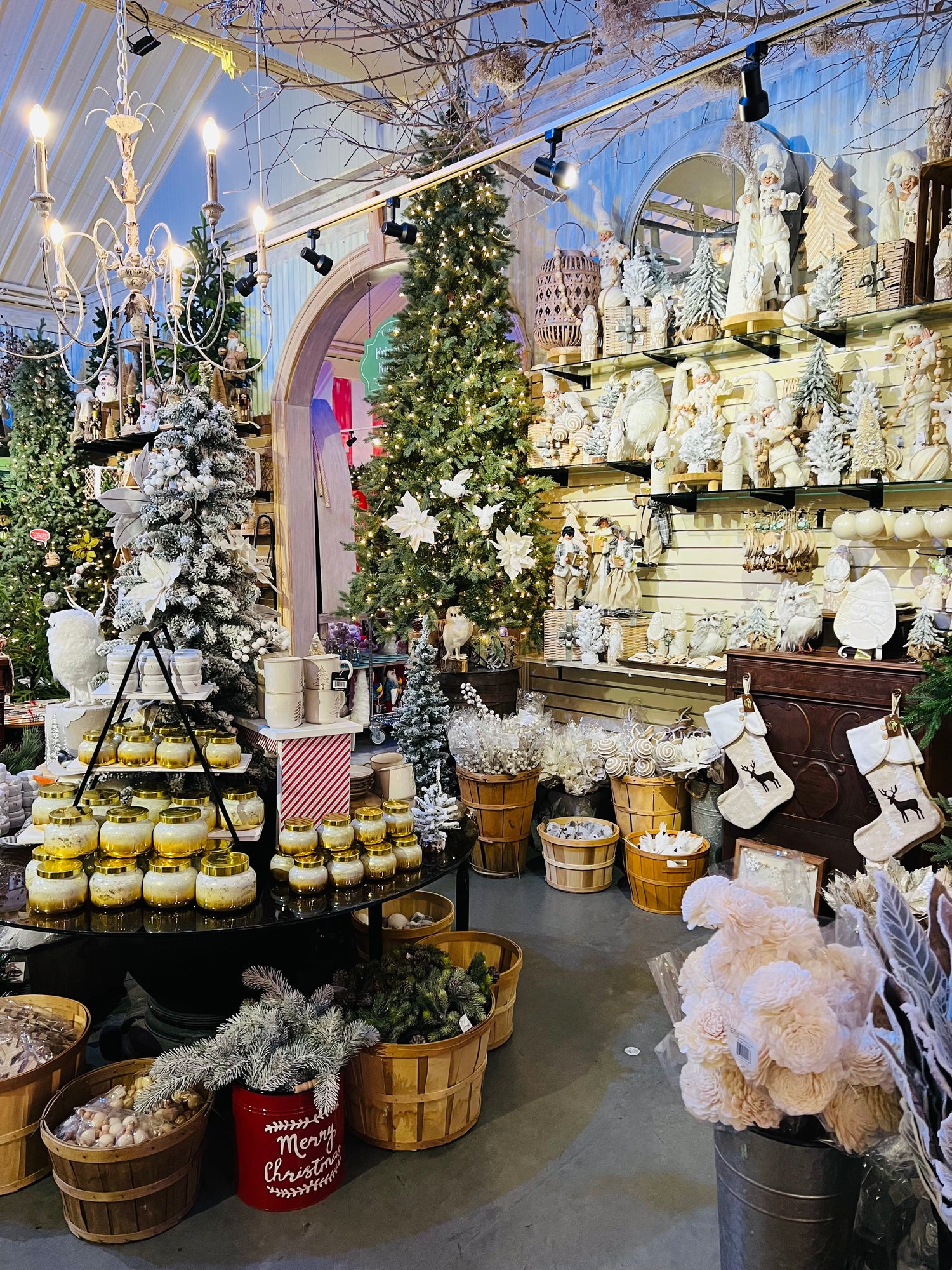 Christmas Land – Shop DeWaynes