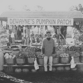 Shop DeWaynes: DeWayne's Home and Garden Store