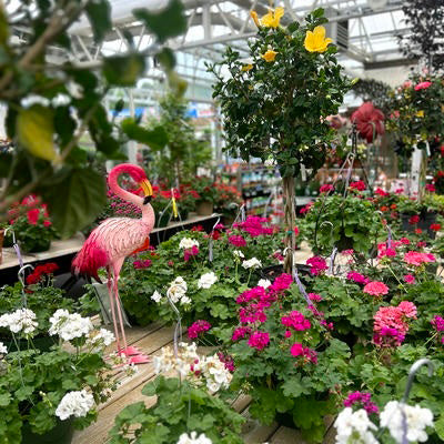DeWayne's Home and Garden Store – Shop DeWaynes
