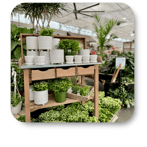 DeWayne's Home and Garden Store – Serving Selma, NC & the Triangle ...
