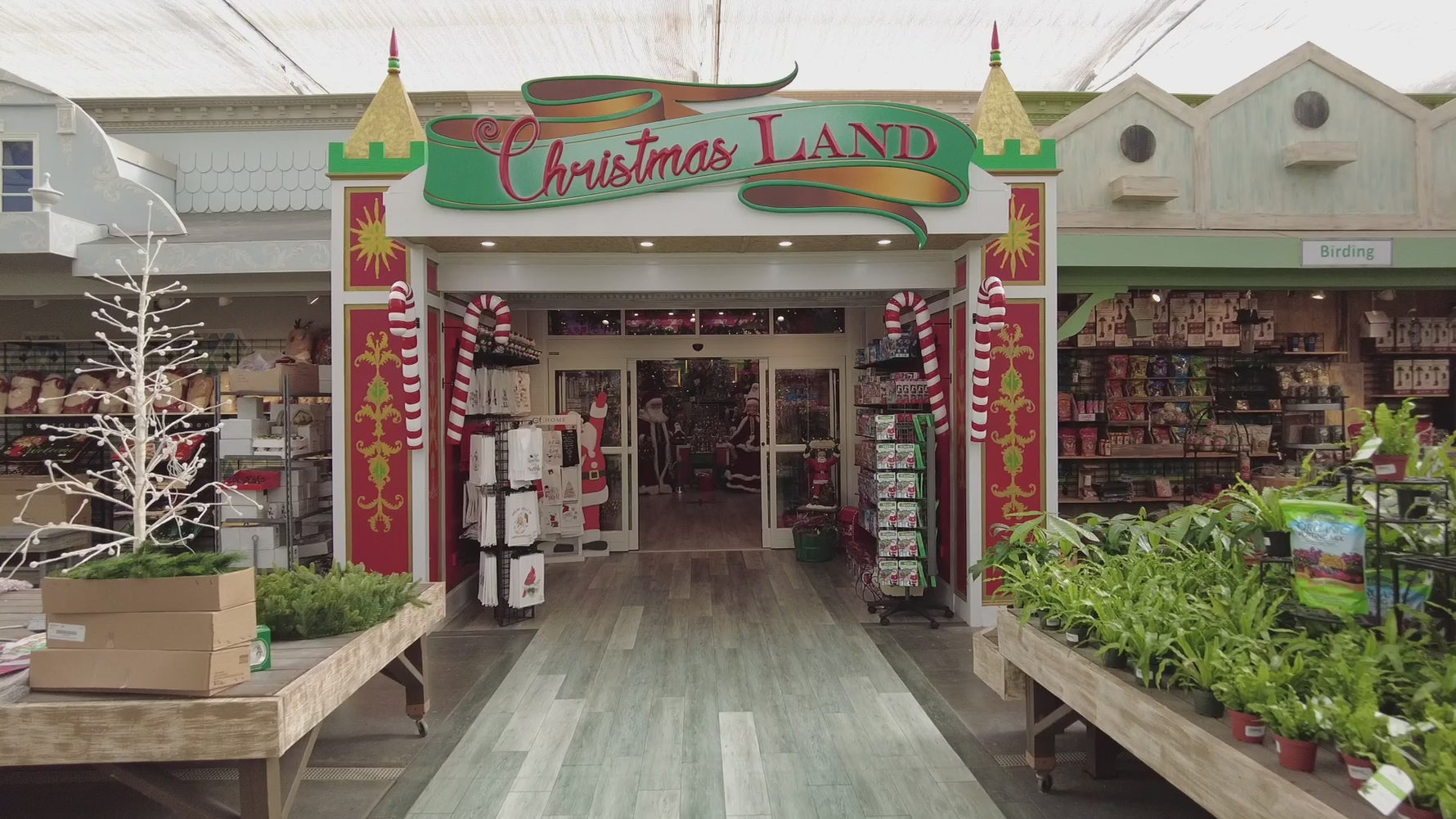Christmas Land – Shop DeWaynes