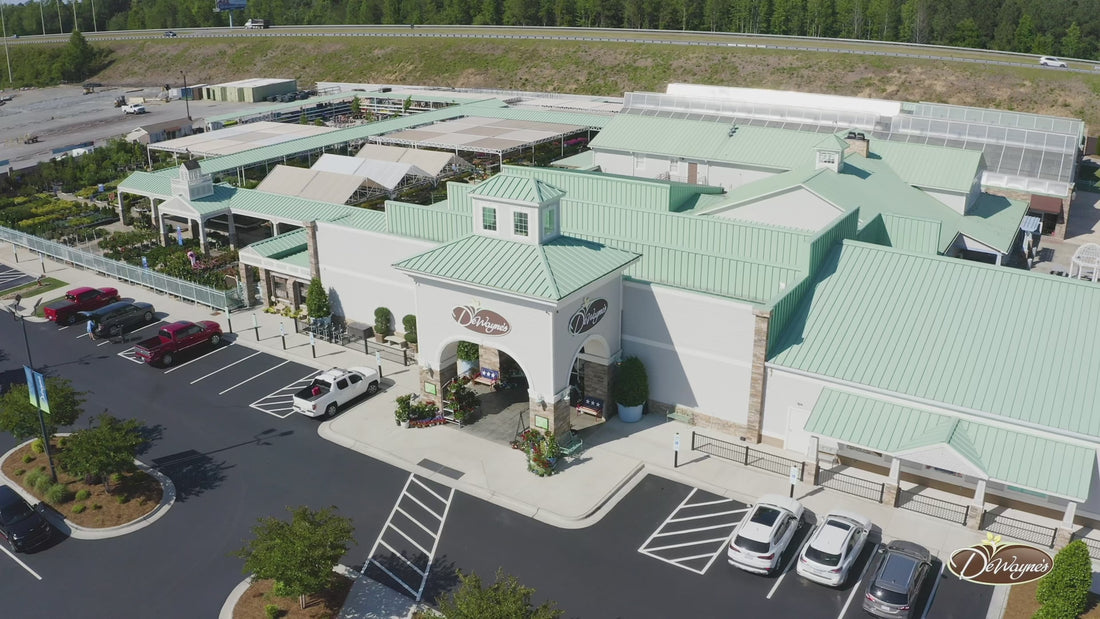 DeWayne's Home and Garden Store – Shop DeWaynes