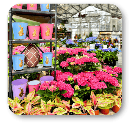 The Garden Center – Shop DeWaynes